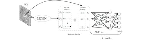 The Framework Of Spectral Spatial Feature Fusion And Logistic Download Scientific Diagram