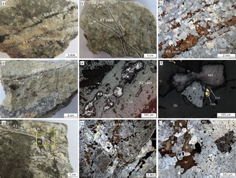 Photographs Of Samples Showing Crosscutting Relationships Of Stage I Download Scientific