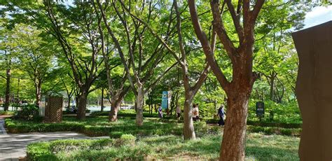 독서는 세탁기입니다 영혼을 씻어줄 수 있는 세제는 좋은 글밖에 없습니다 머릿속 생각들이 입을 통해 빠른 속도로 튀어 나오는 순간 오염 독서 인in 심리학