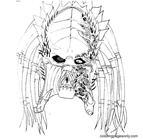 Collection Of Predator Coloring Pages Free Printable