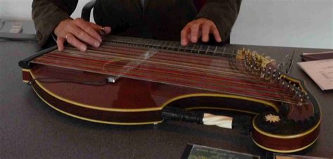 Zither_Eckart – SfS-Frankenberg