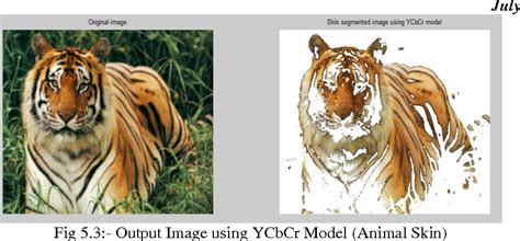Figure 51 From Skin Segmentation Using Ycbcr And Rgb Color Models Semantic Scholar