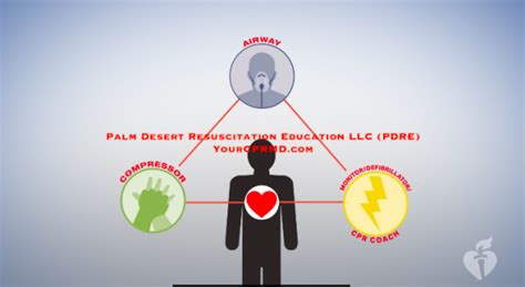 Cpr Coach Bls Instructor Course Update 2020 Aha Ecc And Cpr