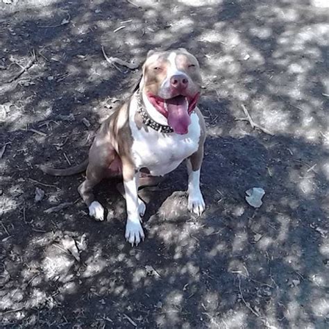 Stream Taylor Lloyd Music Listen To Songs Albums Playlists For Free