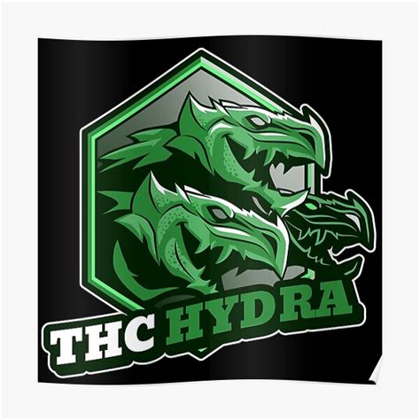 Cyber Security Hacker Thc Hydra Password Cracking Poster For