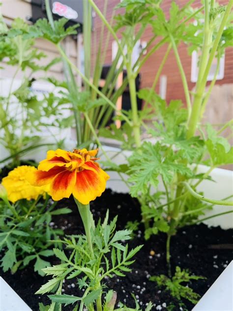 Meteorologist Alex Meteorologist Alex Wasilenko