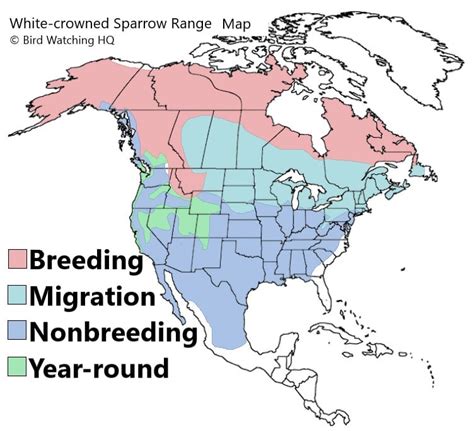 17 Small Birds That Live In Ontario 2025 Bird Watching Hq