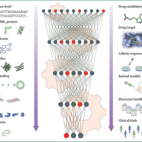Representation Of Tuned Mlp Out The Complex Framework With Mlp