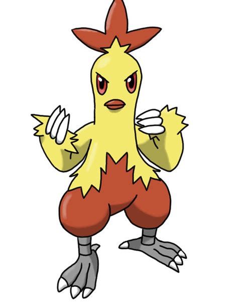Combusken 256 By Hirimii On Deviantart