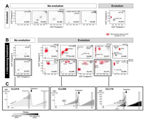 Longitudinal Analysis Of Subclonal Evolution In Cll And Its Relation To Download Scientific