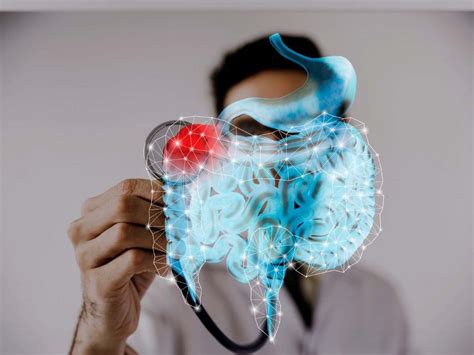 5 Funciones De La Microbiota Intestinal ¡mejorá Tu Salud