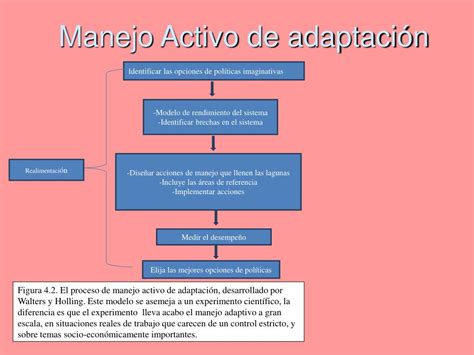 Ppt Capítulo 4 Manejo Adaptativo Powerpoint Presentation Free
