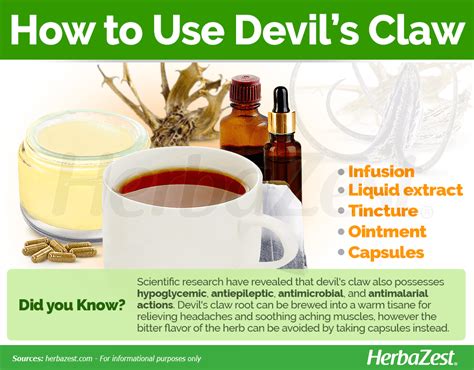 Devils Claw Herbazest