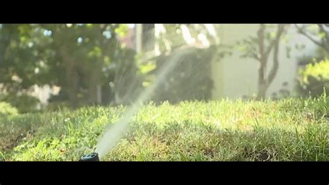 California To Relax Restrictions On Water Usage Youtube