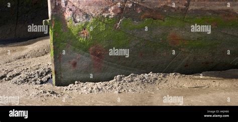 Algae Grows On The Rusting Hull Of A Ship At Low Tide Stock Photo Alamy