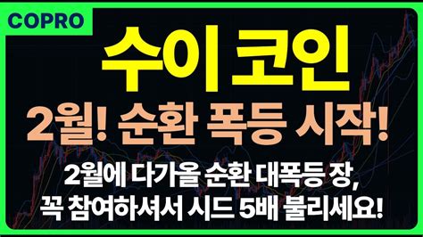 수이 코인 전망 2월 순환 대폭등 장 시작합니다 이 가격 확인하시고 꼭 참여하셔서 시드 5배 불릴 기회 놓치지 마세요
