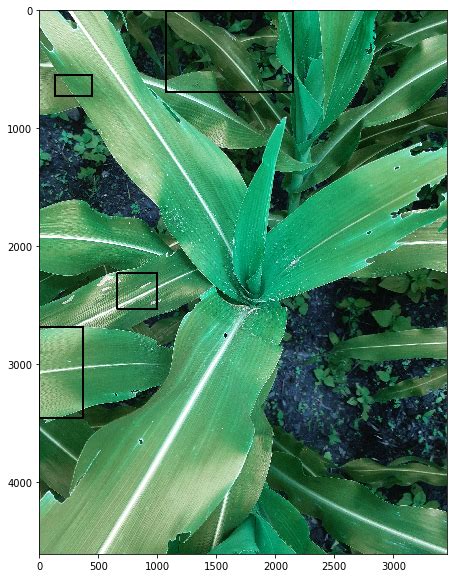 Corn Leaf Infection Detection Data Preprocessing And Custom