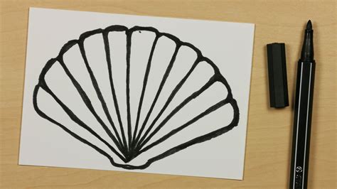 Shell Drawing At GetDrawings Free Download
