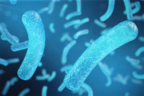 만성 간 질환 간염 바이러스 3 차원 일러스트 레이 션을 일으키는 바이러스 성 간염 감염 A형 인플루엔자 바이러스에 대한 스톡