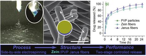 A Concept Demonstration Of Janus Nanofibers For Providing Two Stage Download Scientific