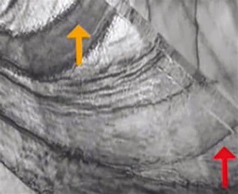 Researchers Compare Shape Memory Alloys Medical Design Briefs