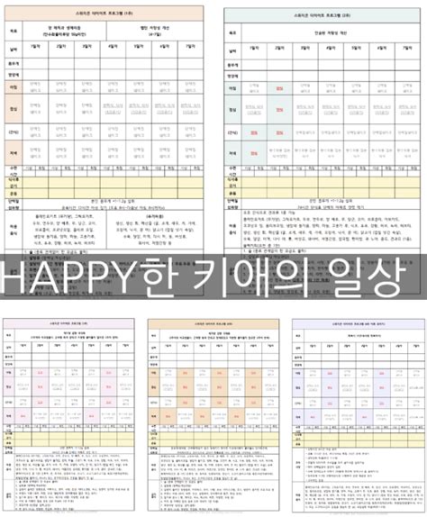 박용우 스위치온 다이어트 4주 총정리 식단표 체크리스트 Pdf 무료공유 네이버 블로그