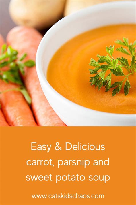 Parsnip Carrot And Sweet Potato Soup Recipe