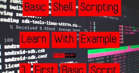 Shell Scripting Topic Basic Scripts