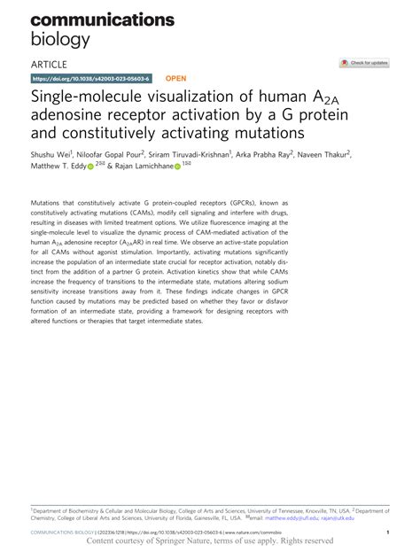 Pdf Single Molecule Visualization Of Human A2a Adenosine Receptor Activation By A G Protein