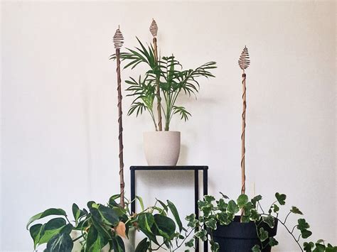 Indoor Antenna Basic 3 pcs set - Electroculture Lifestyle