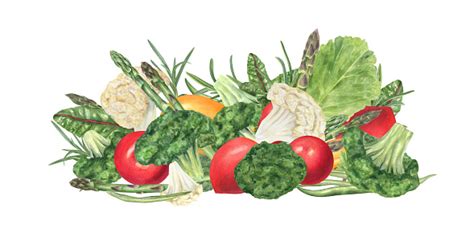 토마토 브로콜리 콜리플라워 작은 꽃 아스파라거스 녹색 조미료 허브 콩 수채화 절연 그림 바질 식물 오레가노 샤드 샐러드 양상추 잎 파슬리를 곁들인 여름 야채 건강한 식생활에