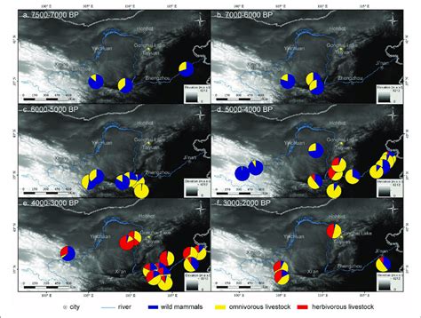 Spatial Temporal Patterns Of Animal Assemblages Number Of Identified