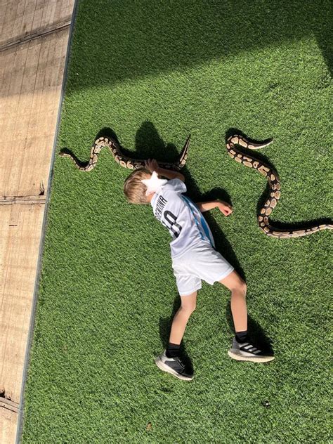 yoti כשילדים וחיות נפגשים מרכז טיפולי לילדים ונוער בעזרת בע״ח rishpon
