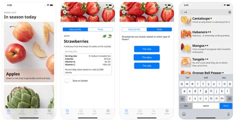 Flutter Vs Apache Cordova Developer Experience Waverley Flutter Vs Apache Cordova Developer Experience Waverley
