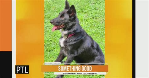 Something Good Rosita Update Cbs Pittsburgh