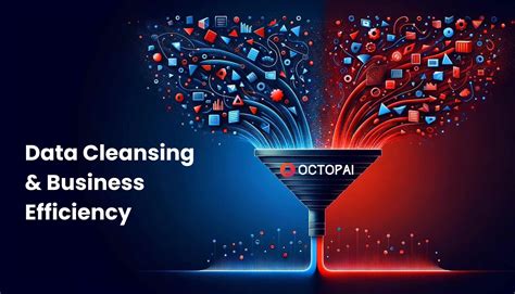 Data Cleansing And Business Efficiency