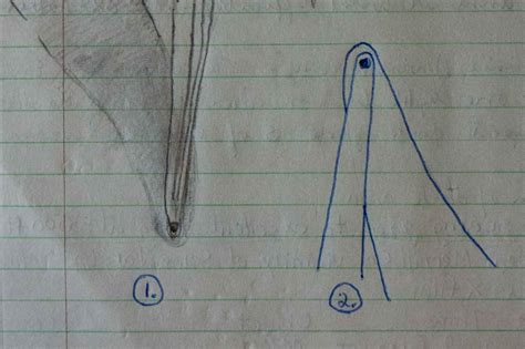 Comet Ztf Over Hyped Solar System Observing Cloudy Nights