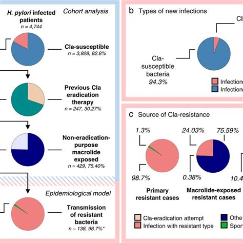 Modeling The Future Prevalence Of H Pylori Clarithromycin Resistance Download Scientific