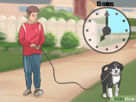 3 Ways To Exercise Your Puppy WikiHow Pet
