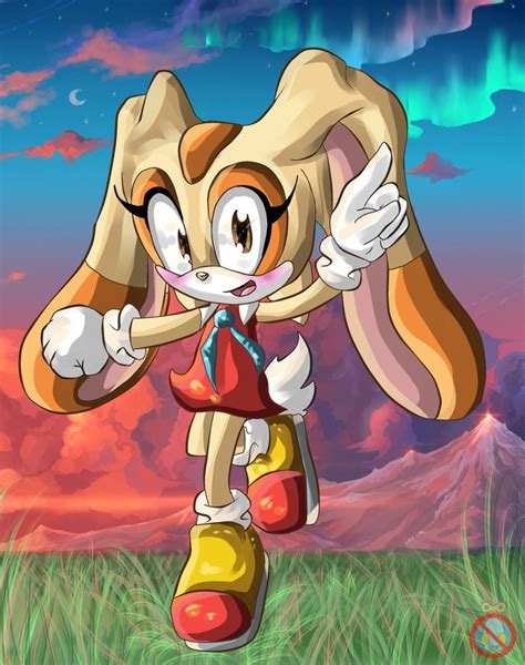 Ce Cream The Rabbit By Shadowhatesomochao On Deviantart Cream Sonic