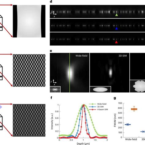 Denoising And Axial Resolution Enhancement Unveil Rich Microtubule
