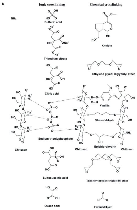 Polyelectrolyte Complexations A Chitosan Based Interpolymer