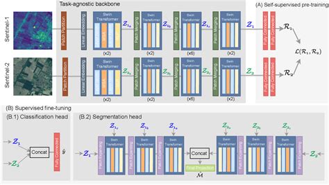 Figure 1 From Self Supervised Vision Transformers For Land Cover Segmentation And Classification