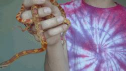 Meowthtomeowth Tumblr Com Post 11257966758 Porn Photo Pics Meowthtomeowth Tumblr Com Post 11257966758 Porn Photo Pics