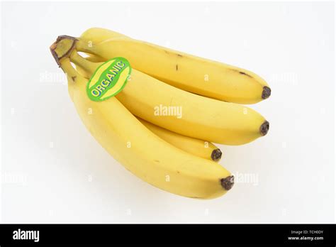 A Bunch Of Yellow Organic Bananas With A Green Organic Sticker Stock