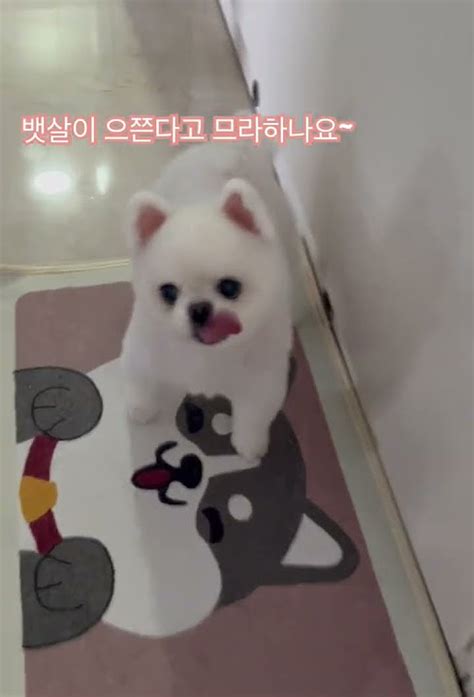 진짜배기 😁으쯘다고~저쯘다고 😁 랄랄 이명화 Youtube