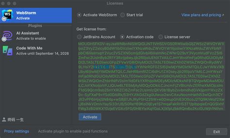 webstorm 2024 2 3 最新激活教程 永久激活 破解工具和教程（亲测） ide激活网