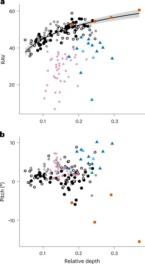 Fossil Rav And Implications For Heel Sole Toe Kinematic Pattern A Download Scientific Diagram