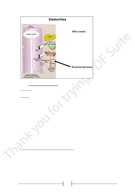 Digestion Of Lipids Pdf Nutrition And Digestion And Absorption Muhadharaty