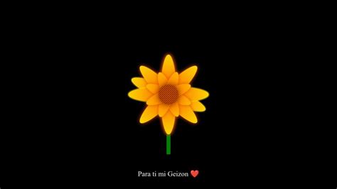 Codepen A Pen By Vanessa Rivera